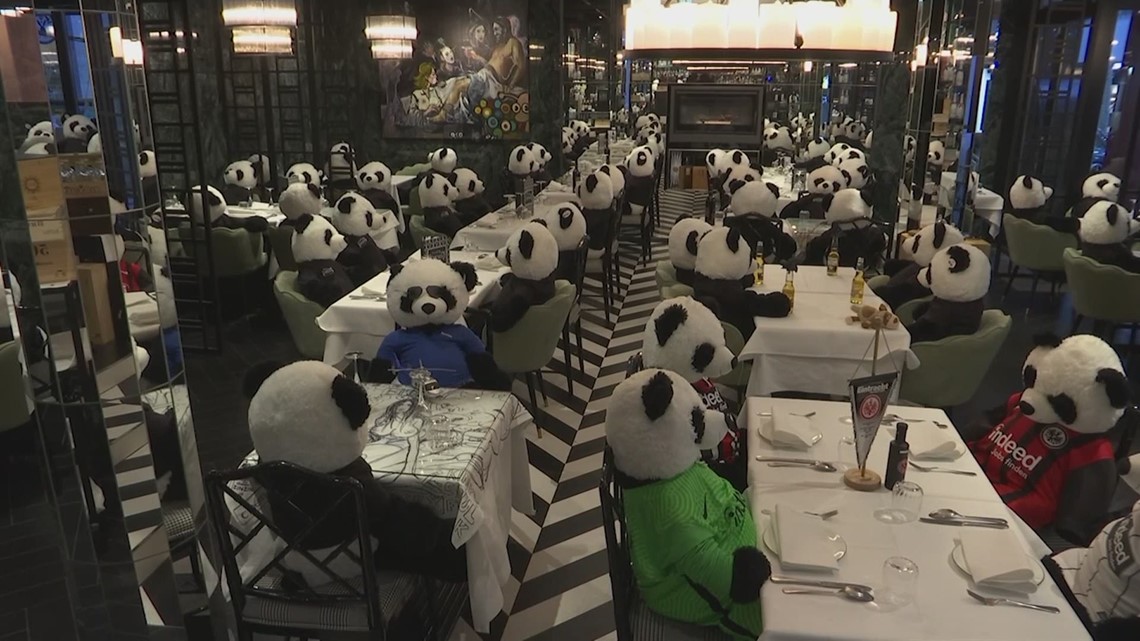 German restaurant seats stuffed pandas in coronavirus lockdown protest ...