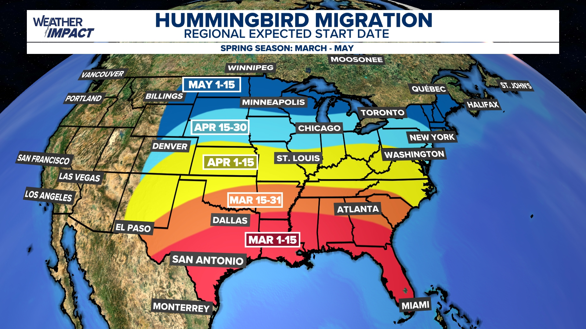 The ruby-throated hummingbird migration is almost here. Here's what to ...