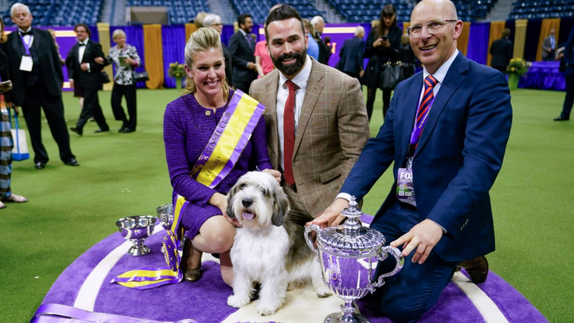 Fierce competition at the 147th Westminster Kennel Club Dog show | ksdk.com