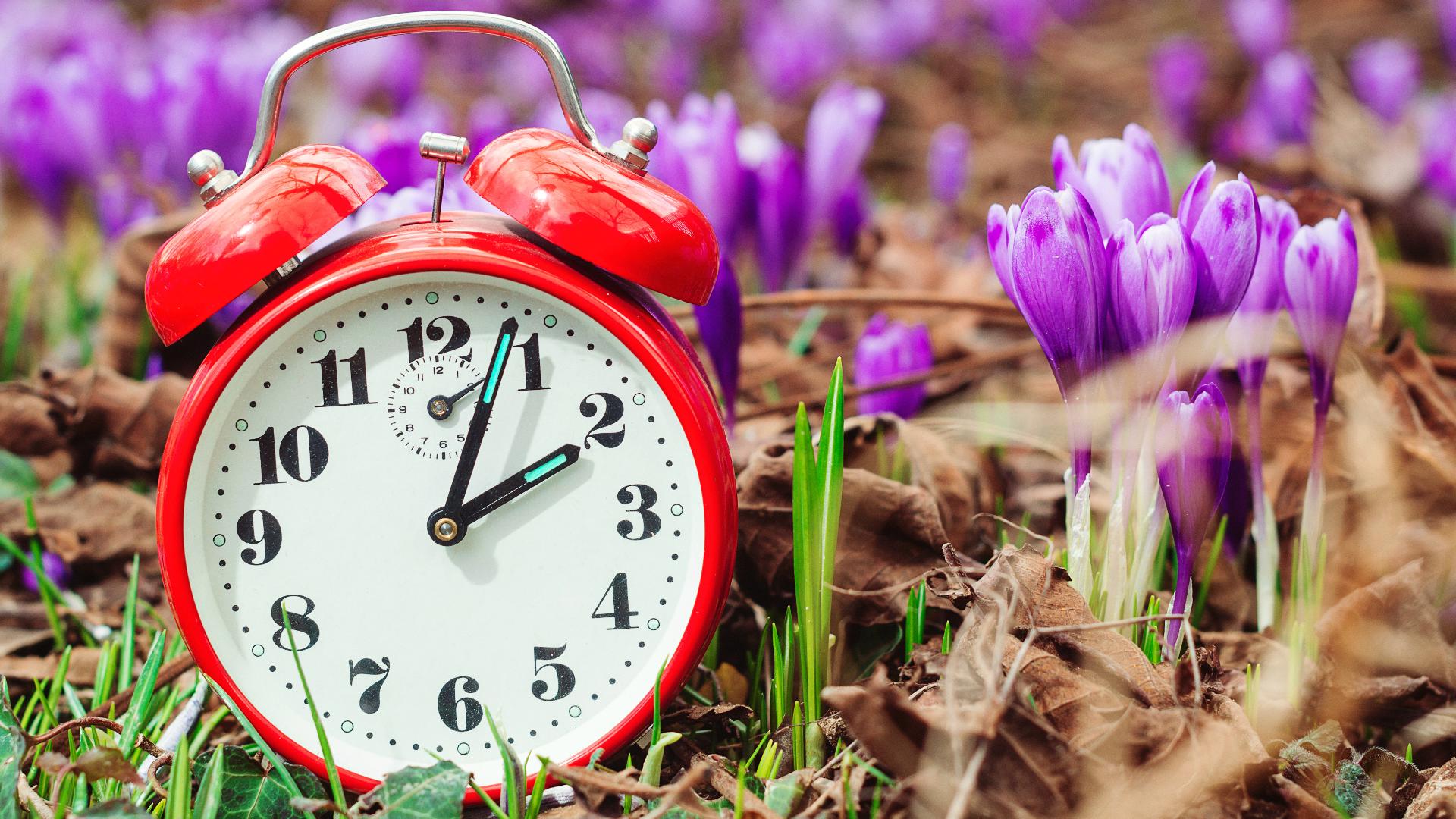 Daylight saving time 2025: When clocks 'spring forward' | ksdk.com