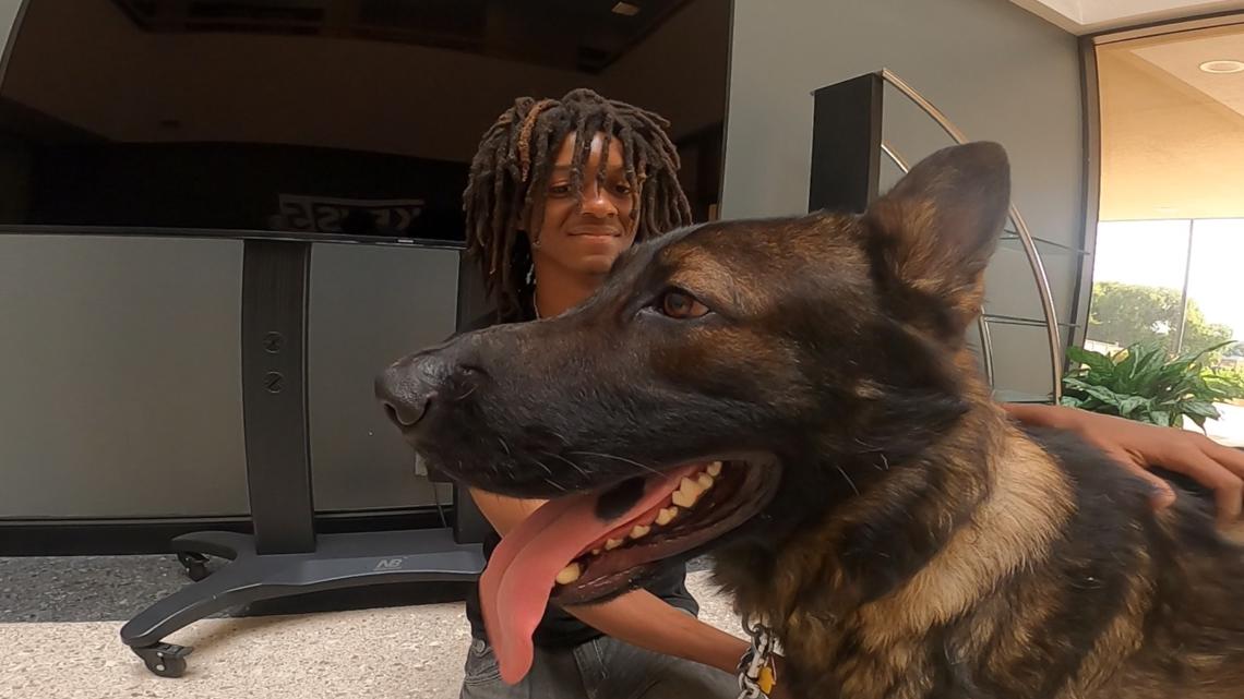 St. Louis Breaking News, Weather, Traffic, Sports | ksdk.com