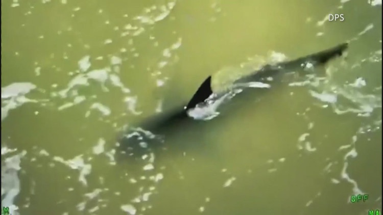 Missouri bill would allow deadly force against protestors | ksdk.com