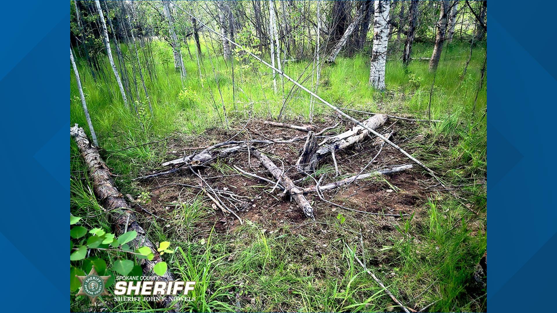 Deputies in Spokane recover $70,000 stolen metal T-Rex statue buried ...