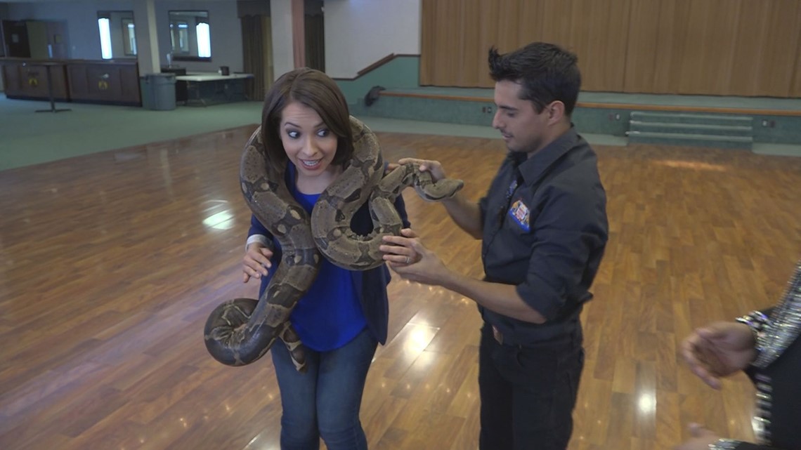 Moolah Shrine Circus Comment-To-Win Sweepstakes | ksdk.com