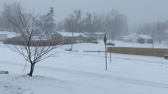 St. Louis area snow totals | ksdk.com