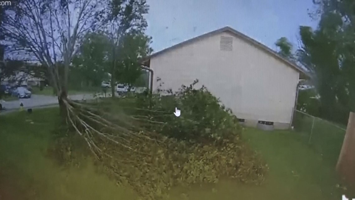 O'Fallon man rescues cable technician trapped under tree limb | ksdk.com