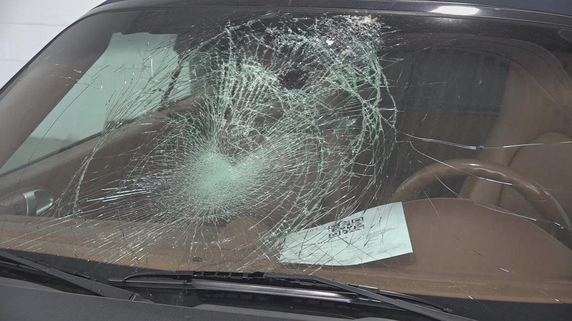 Deer-car collisions increase as Daylight Saving Time (DST) ends | ksdk.com