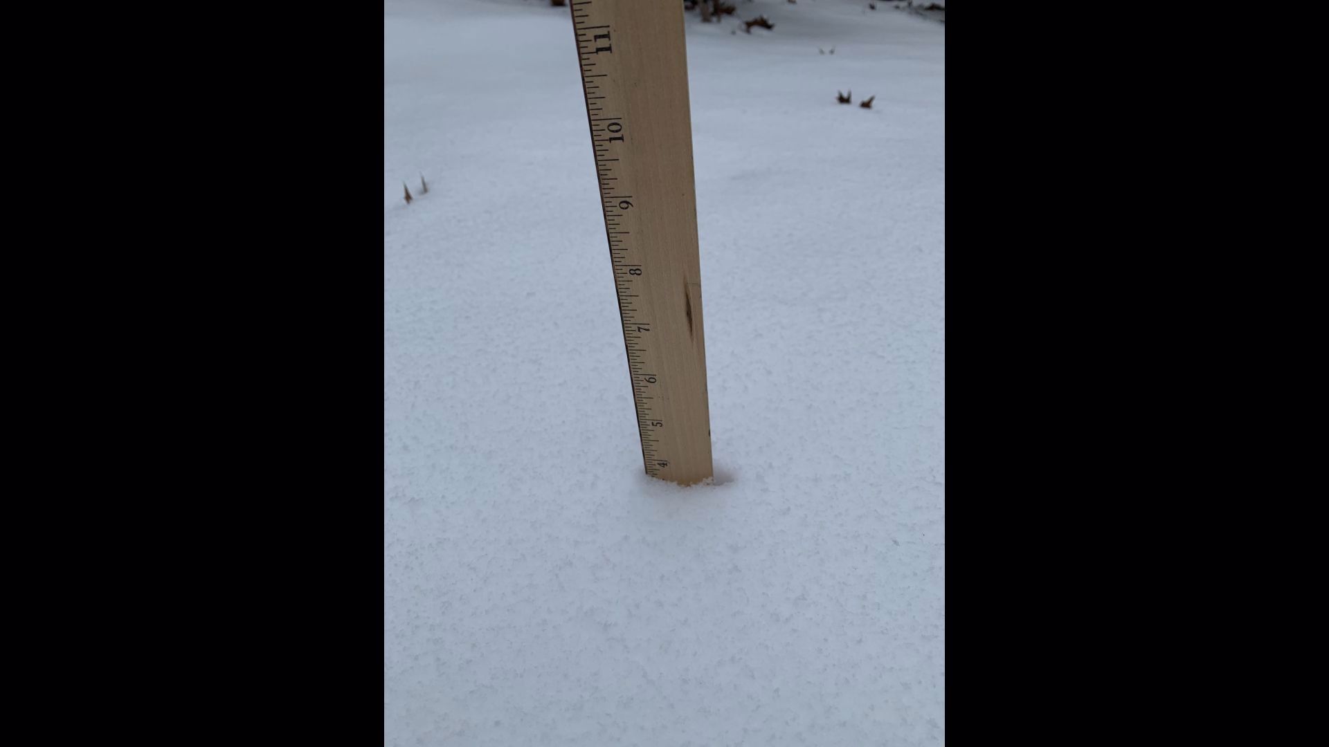 St. Louis weather: Winter storm brings snow to St. Louis area | ksdk.com