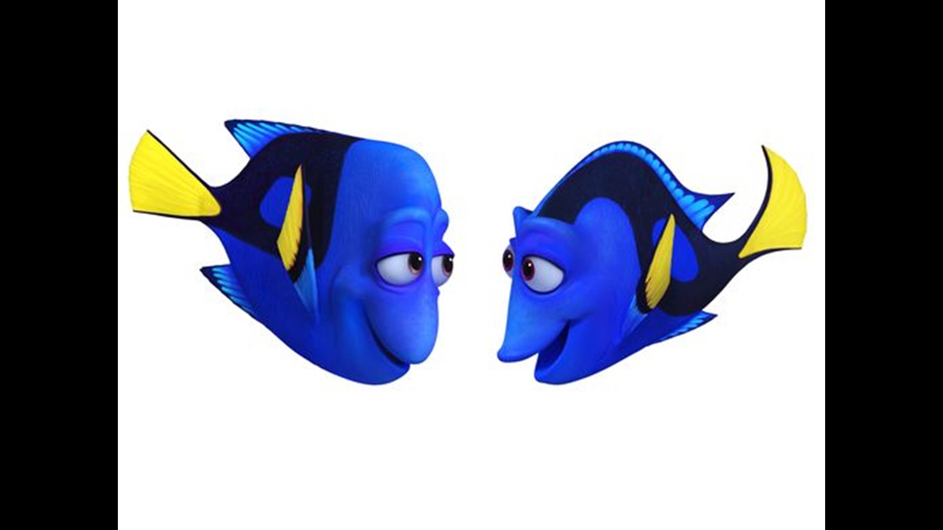 New 'Finding Dory' trailer has tears, squids and Idris Elba | ksdk.com