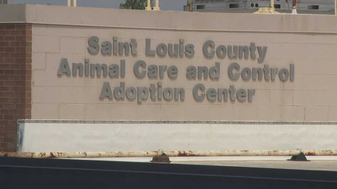 St. Louis Job Corps to hold hiring event April 5 | ksdk.com