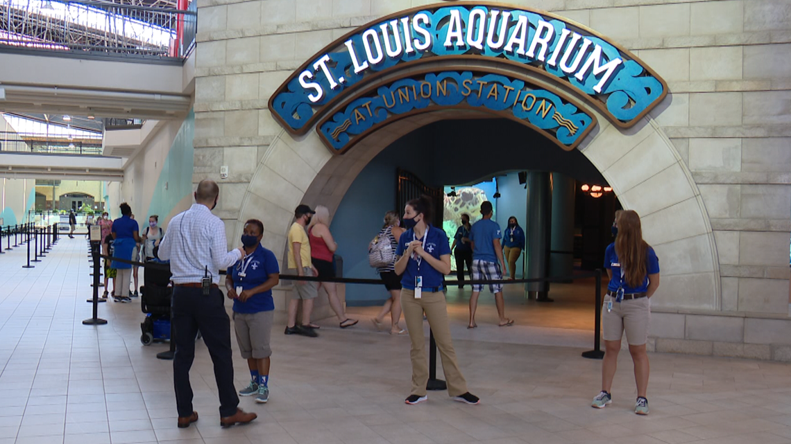 St. Louis Aquarium celebrates 1 year with new interactive exhibit ...