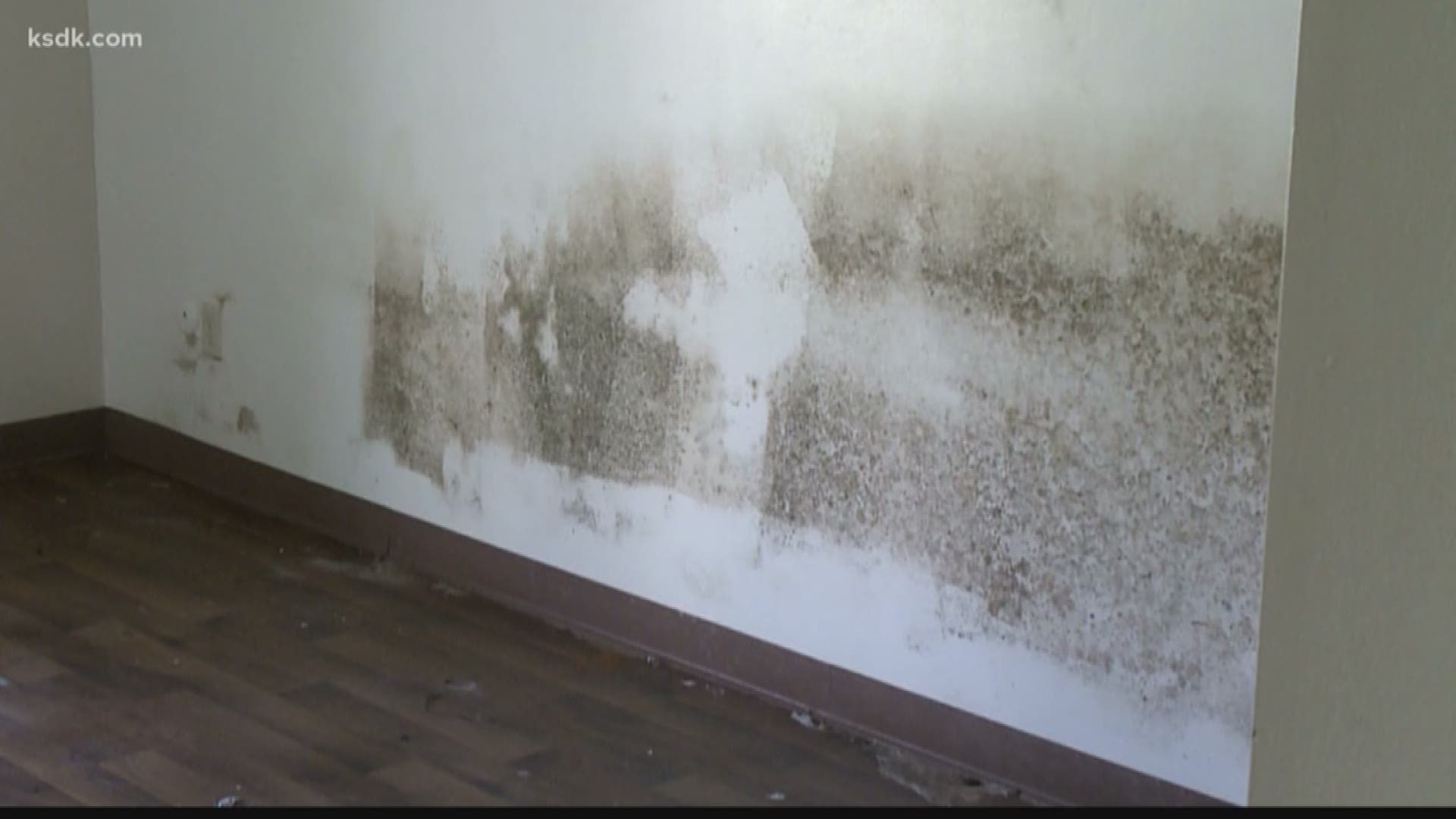 Tenants lived in mold infested building for months; were never told ...