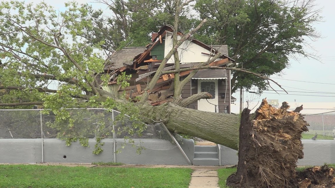Expert addresses tree maintenance with severe storms in St. Louis ...