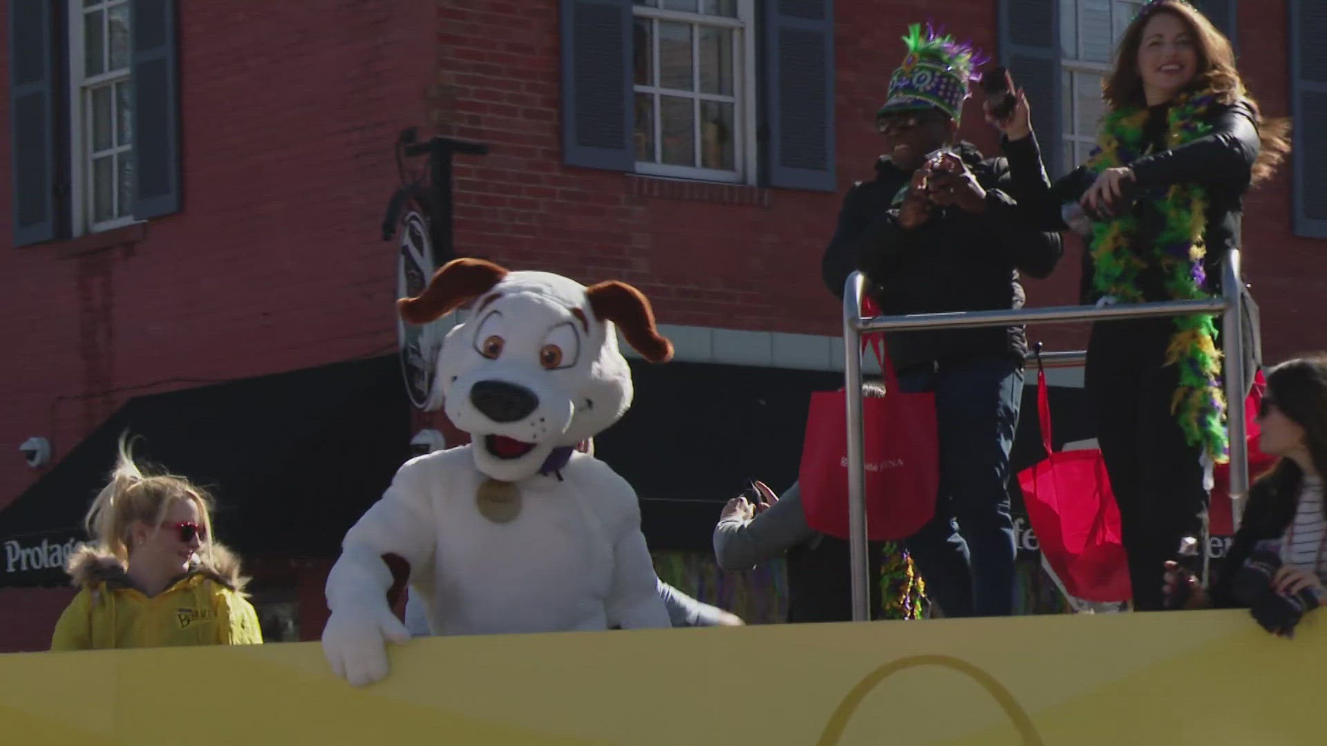 Purina Pet Parade brings Mardi Gras magic to Soulard on Feb 8 | ksdk.com