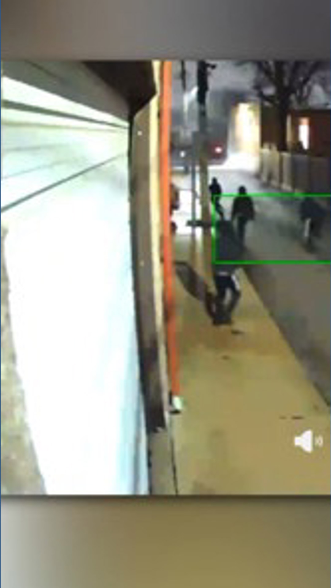 Brazen fatal shooting ambush captured on south St. Louis surveillance ...