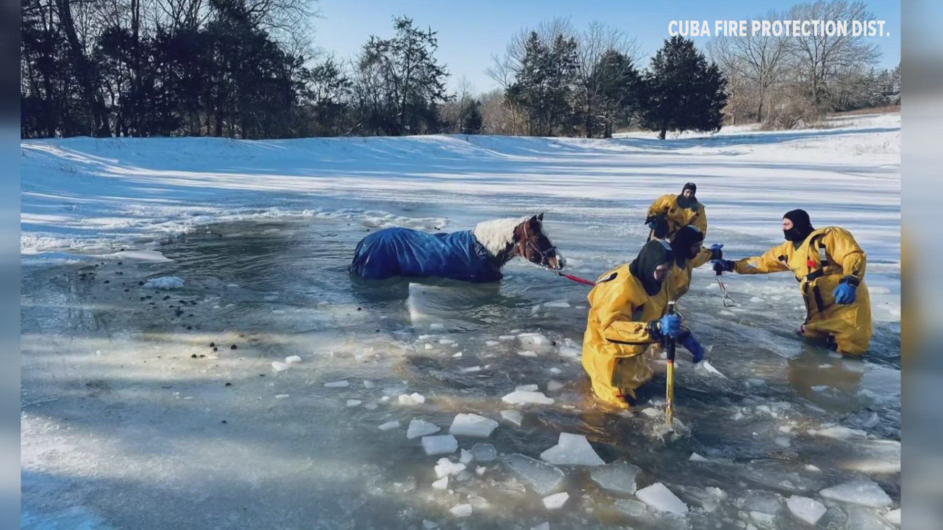 Firefighters rescue horses from icy pond in Cuba, Missouri | ksdk.com