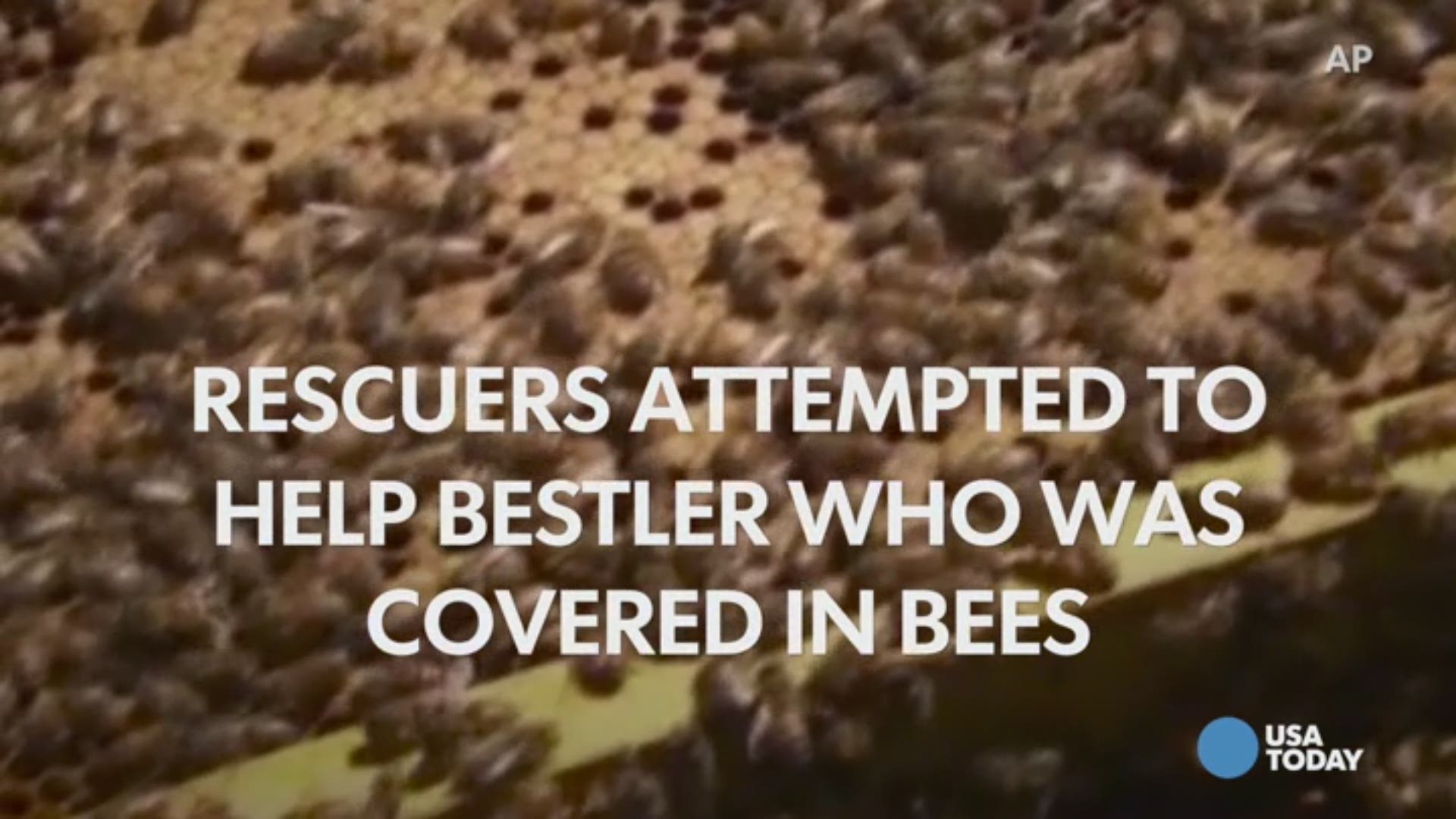 Arizona hiker dies after being stung by 1,000 bees | ksdk.com