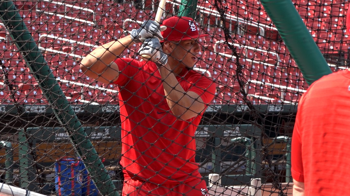 Cardinals sign outfielder prospect Joshua Baez | ksdk.com