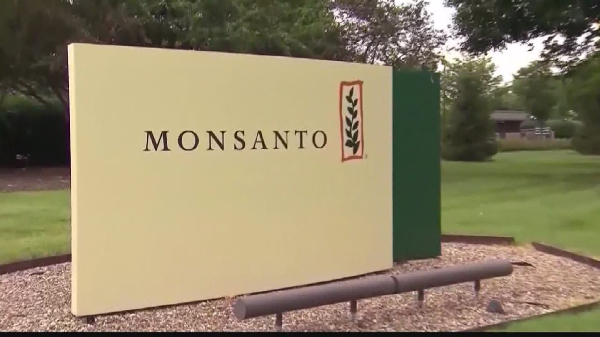 First trial over Roundup weed killer cancer claim under way | ksdk.com