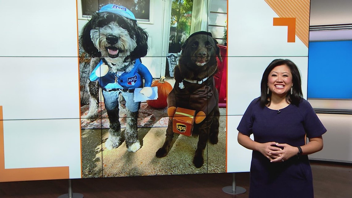 Sammy's Stars: October 31, 2022 | ksdk.com