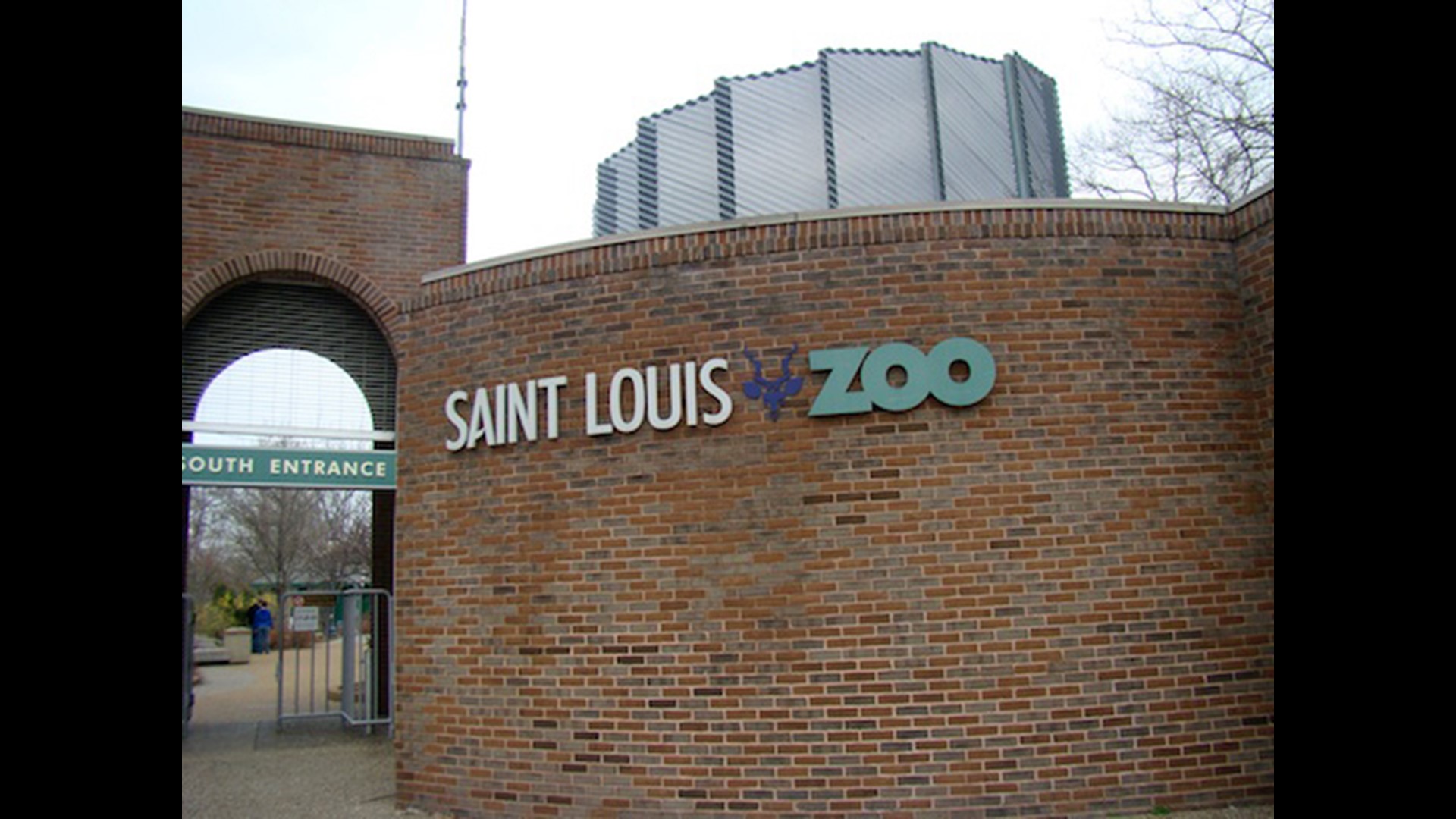 TripAdvisor ranks Saint Louis Zoo as sixth best in world | ksdk.com