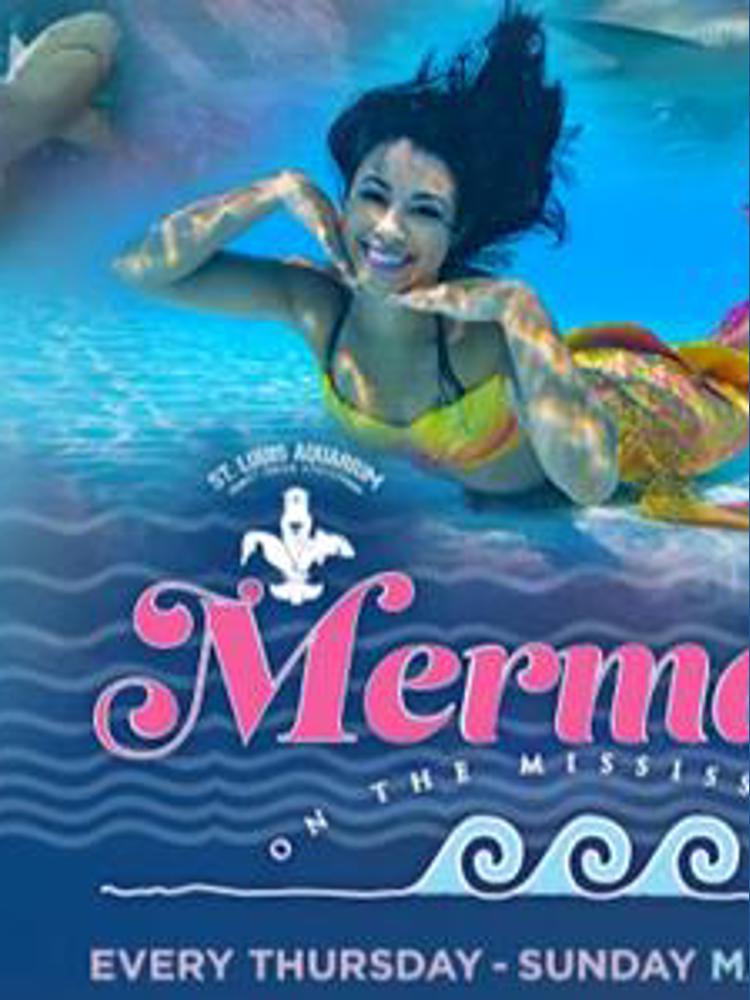 Sponsored: Dive into an underwater fairytale at St. Louis Aquarium's ...
