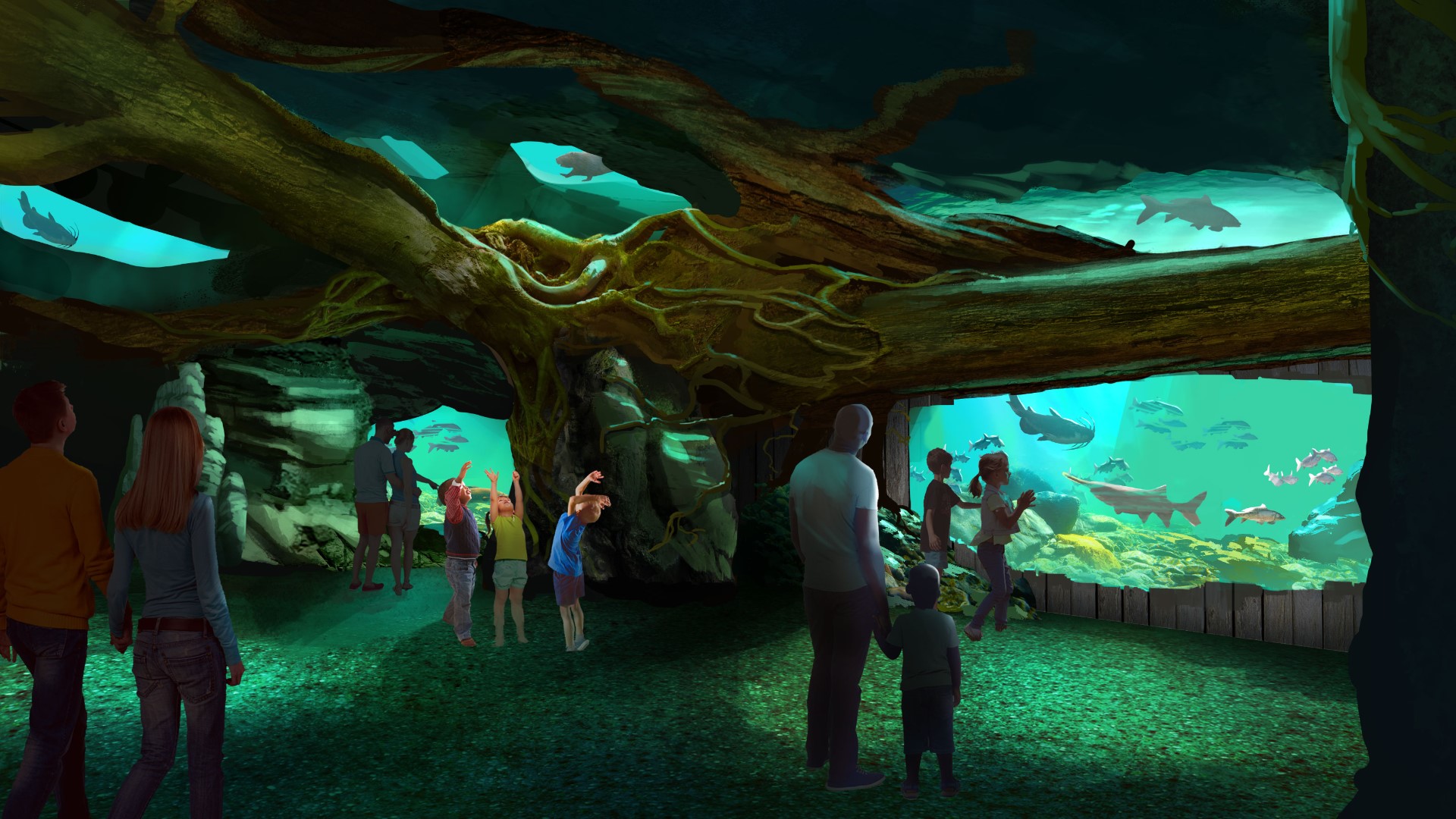 A first look inside the new St. Louis Aquarium at Union Station | ksdk.com