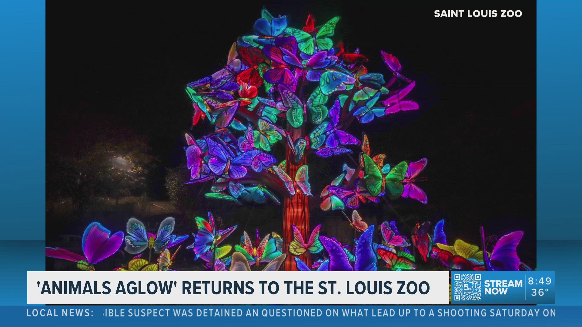 Saint Louis Zoo’s Animals Aglow returns for 3rd year | ksdk.com
