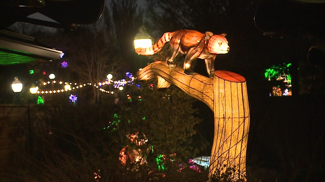Saint Louis Zoo illuminates spring nights with third annual 'Animals ...