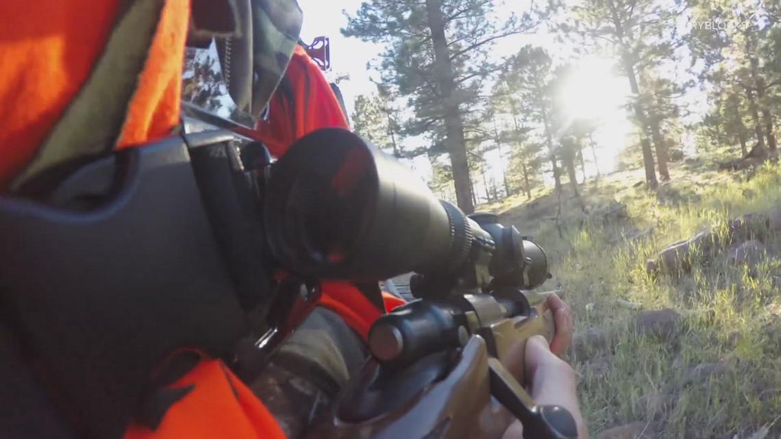 Illinois DNR, hunters prepare for first deer season involving rifles ...