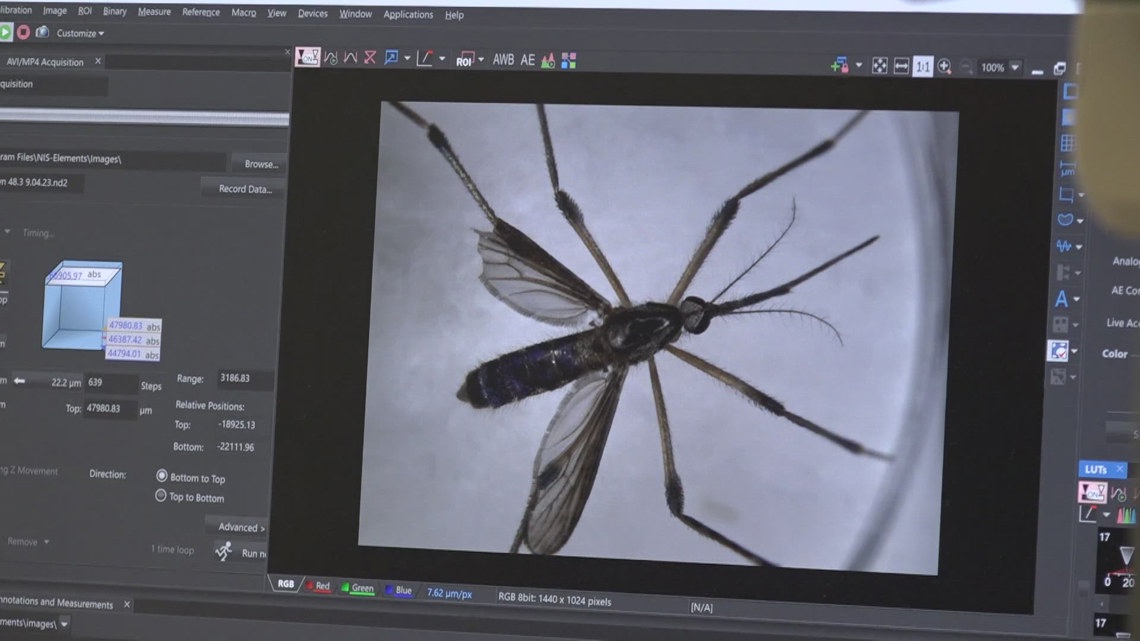 How St. Louis County tracks disease-carrying mosquitos | ksdk.com