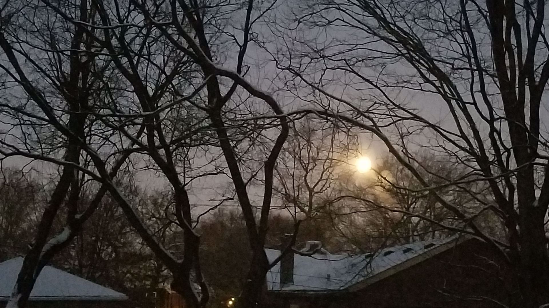 Photos: First full moon of 2021 over St. Louis | ksdk.com