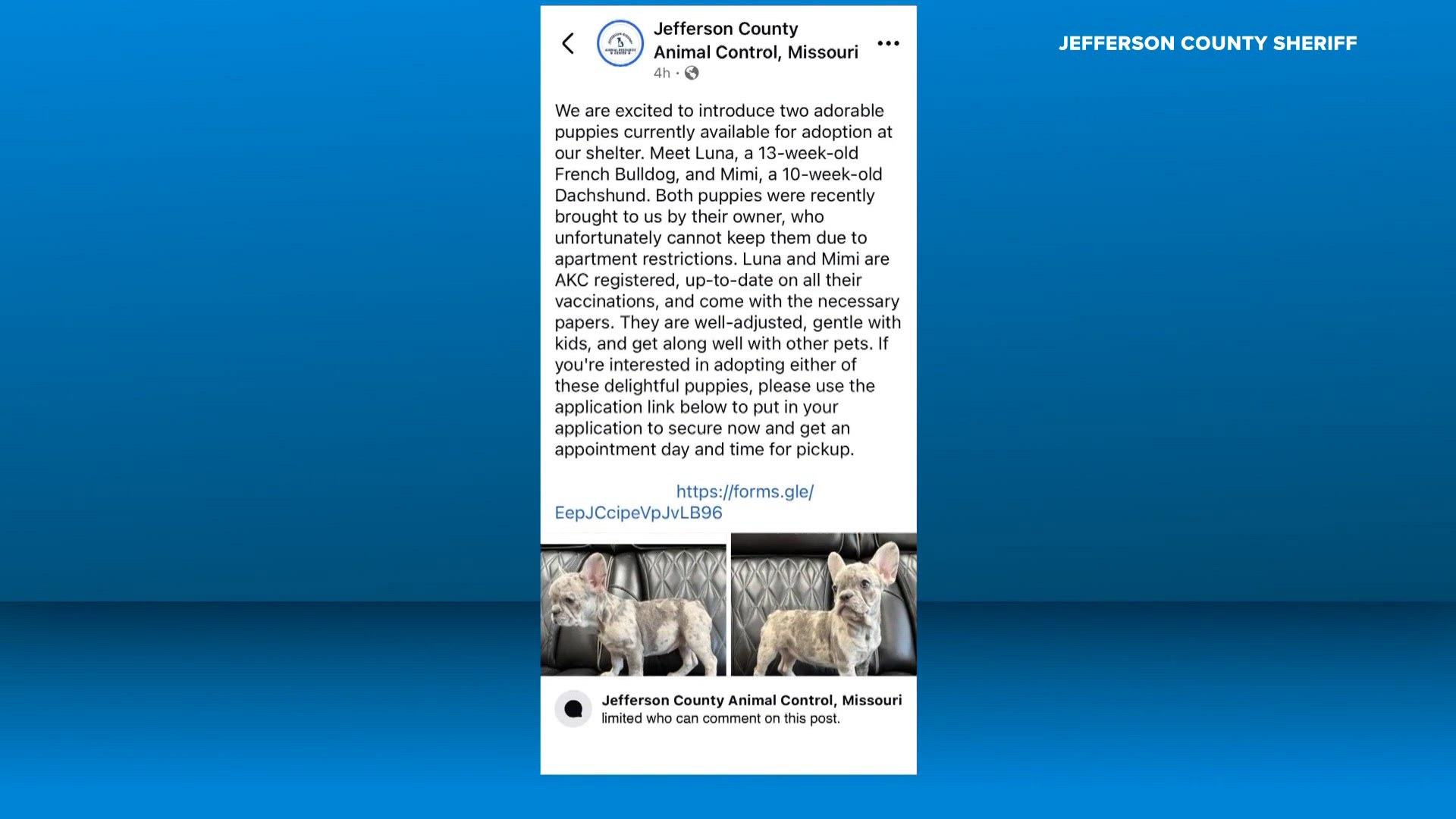 Hackers post fake ad on Jefferson County Animal Control Facebook page ...