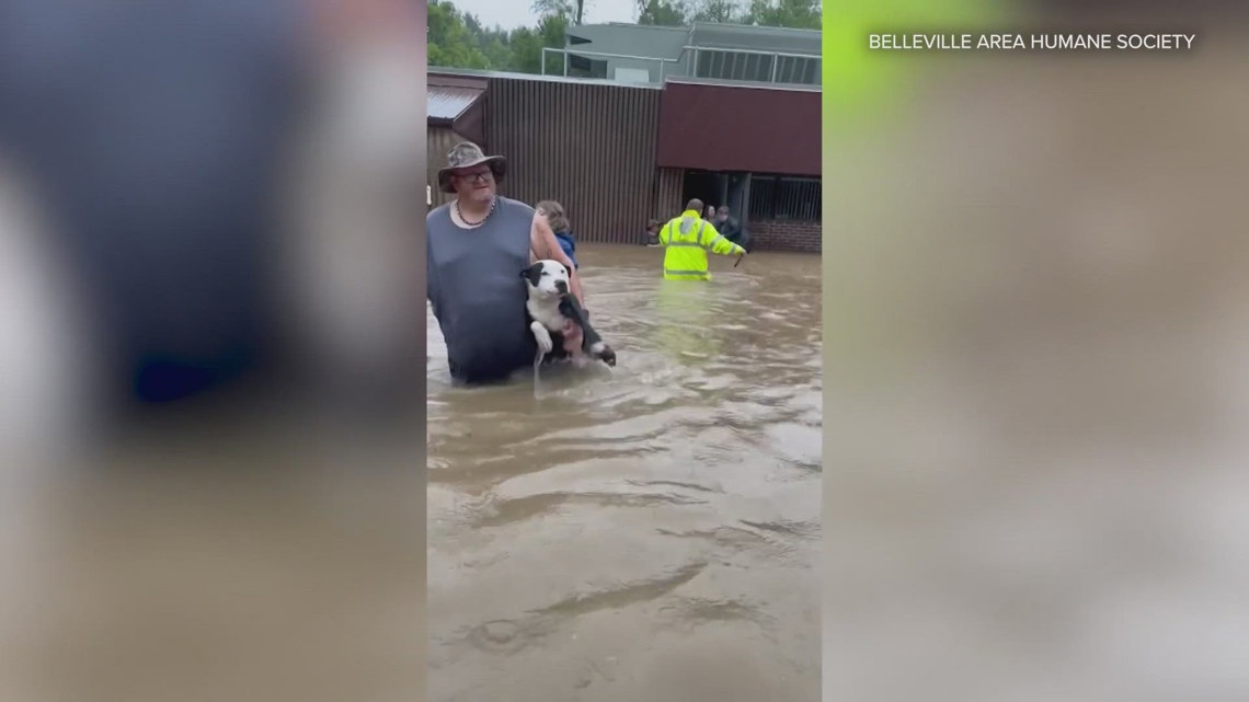 Gateway Pet Guardians seek fosters for 42 dogs in flood-threatened area ...
