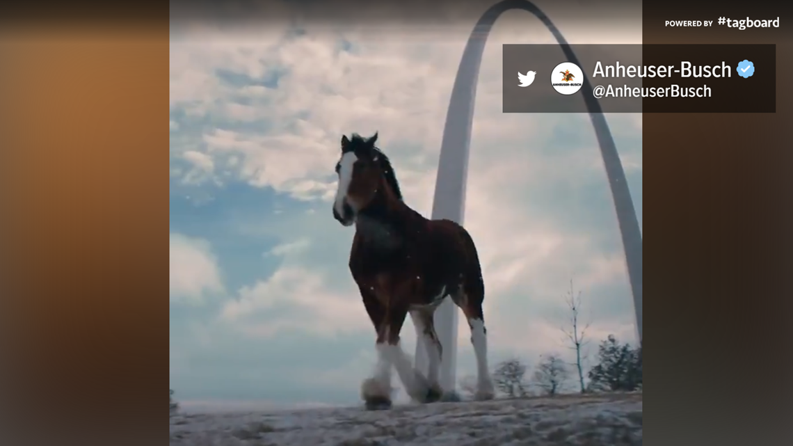Clydesdales: New Anheuser-Busch ad | ksdk.com