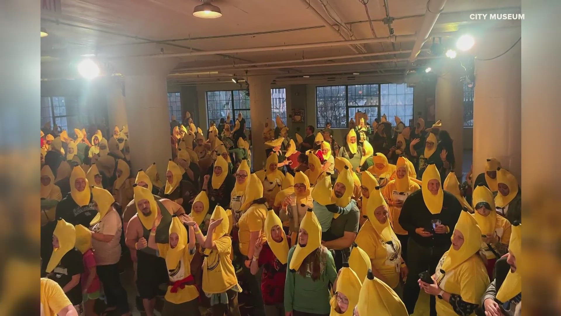 City Museum breaks banana hat world record | ksdk.com