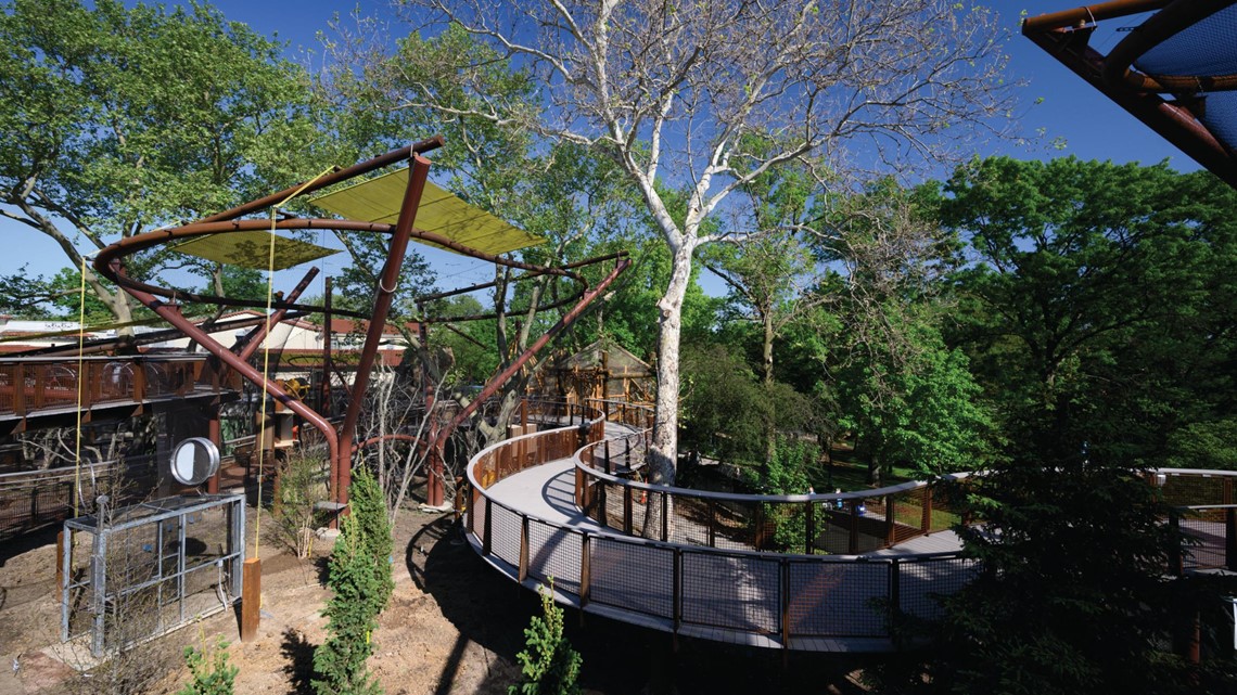 Saint Louis Zoo's new primate exhibit is like a treehouse for all ...
