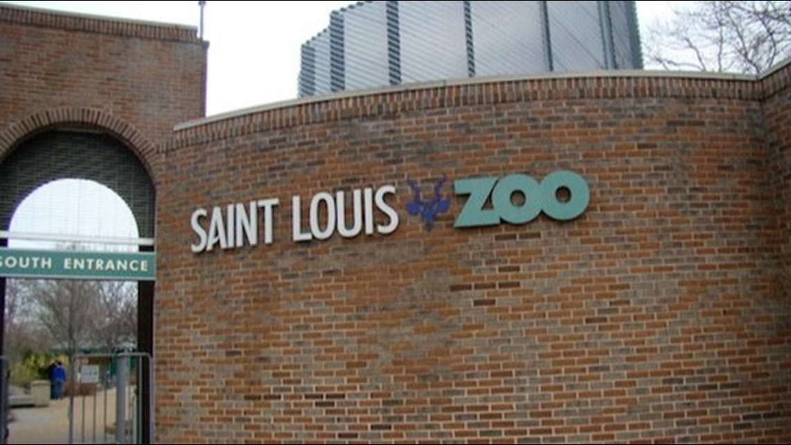 St. Louis Zoo leader sees big things for proposed annex | ksdk.com
