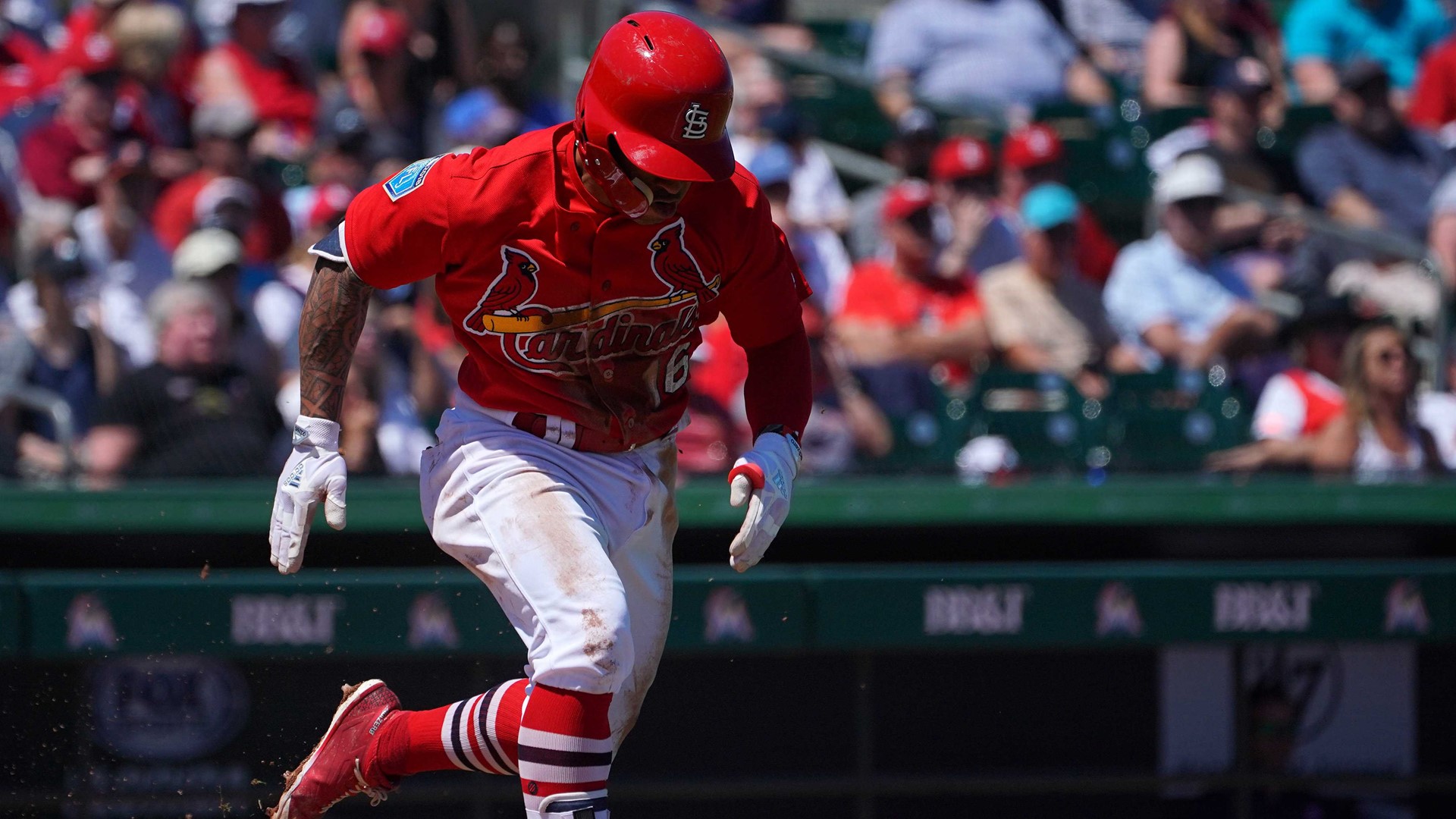 Cardinals' Wong running during spring training | ksdk.com