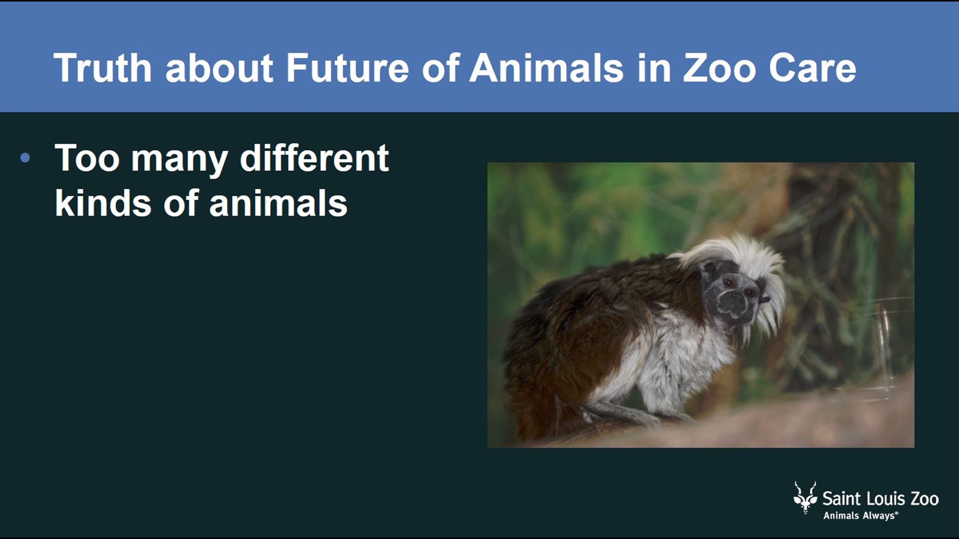 First renderings of the new Zoo expansion are out and are awesome ...