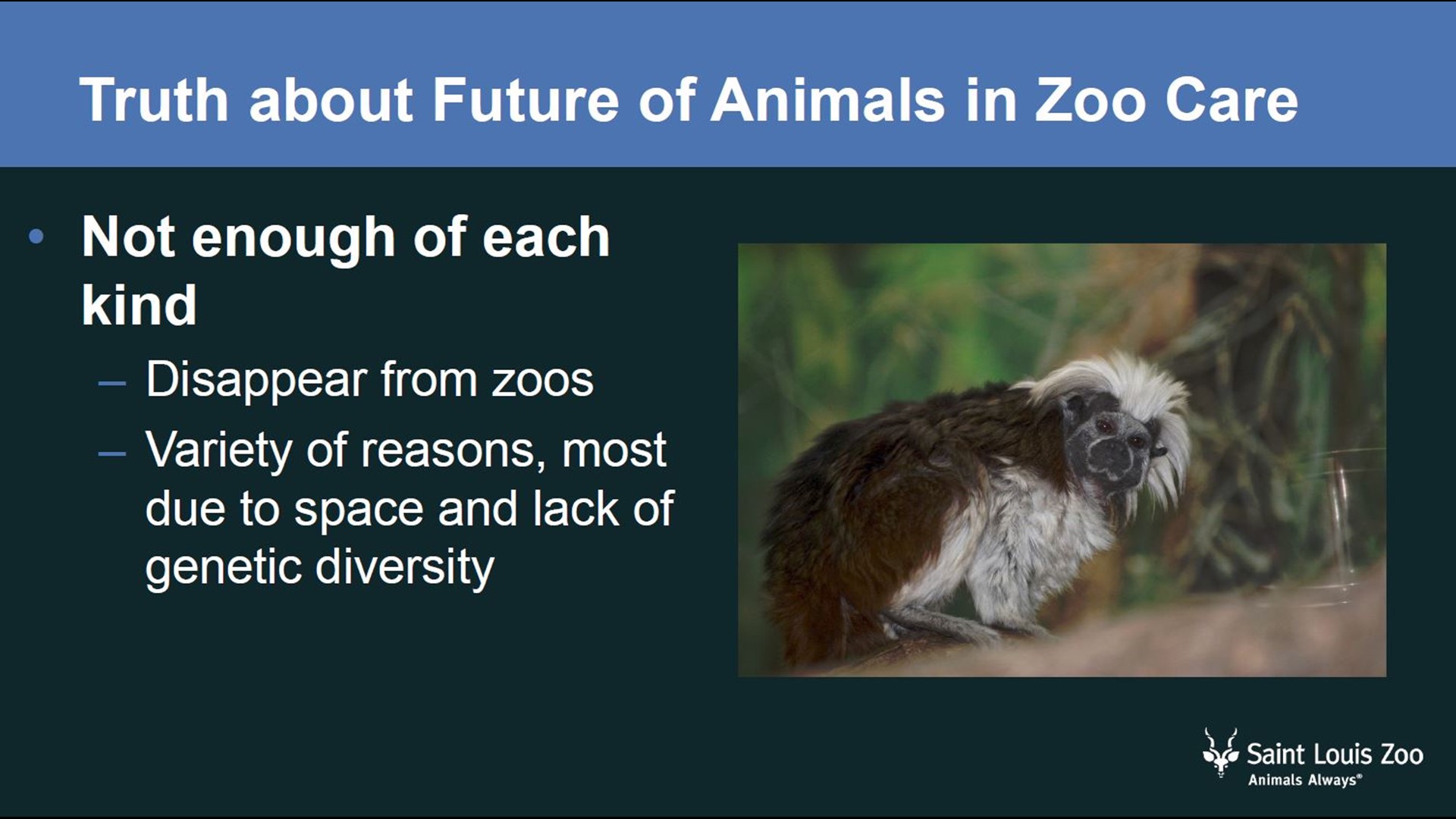 First renderings of the new Zoo expansion are out and are awesome ...