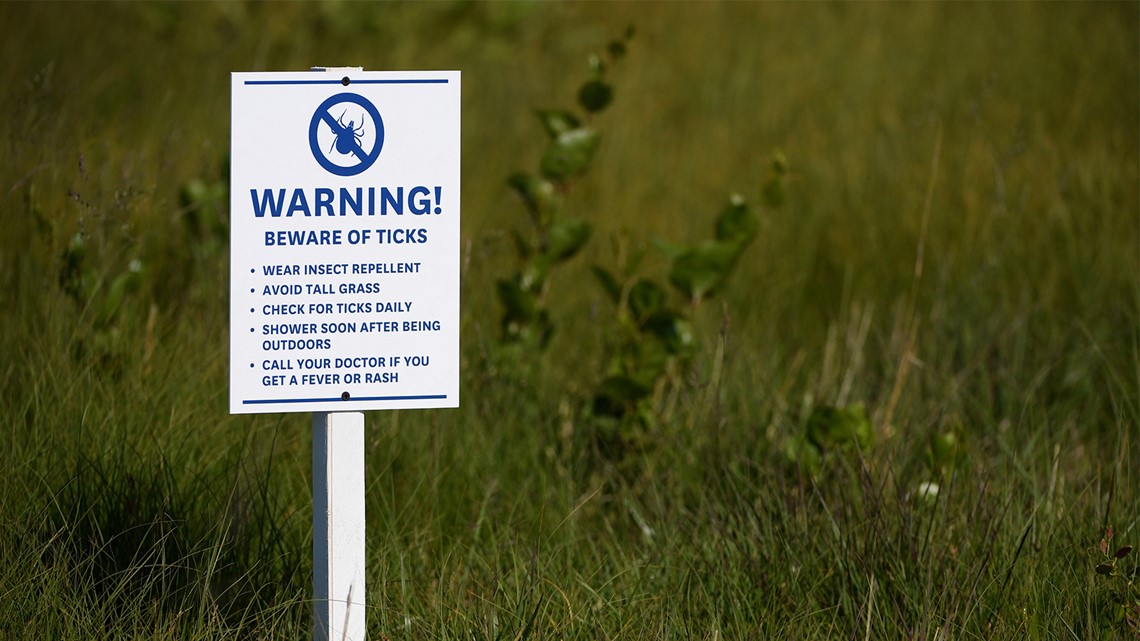 Missouri physicians warn against bug-borne diseases | ksdk.com Missouri physicians warn against bug-borne diseases | ksdk.com
