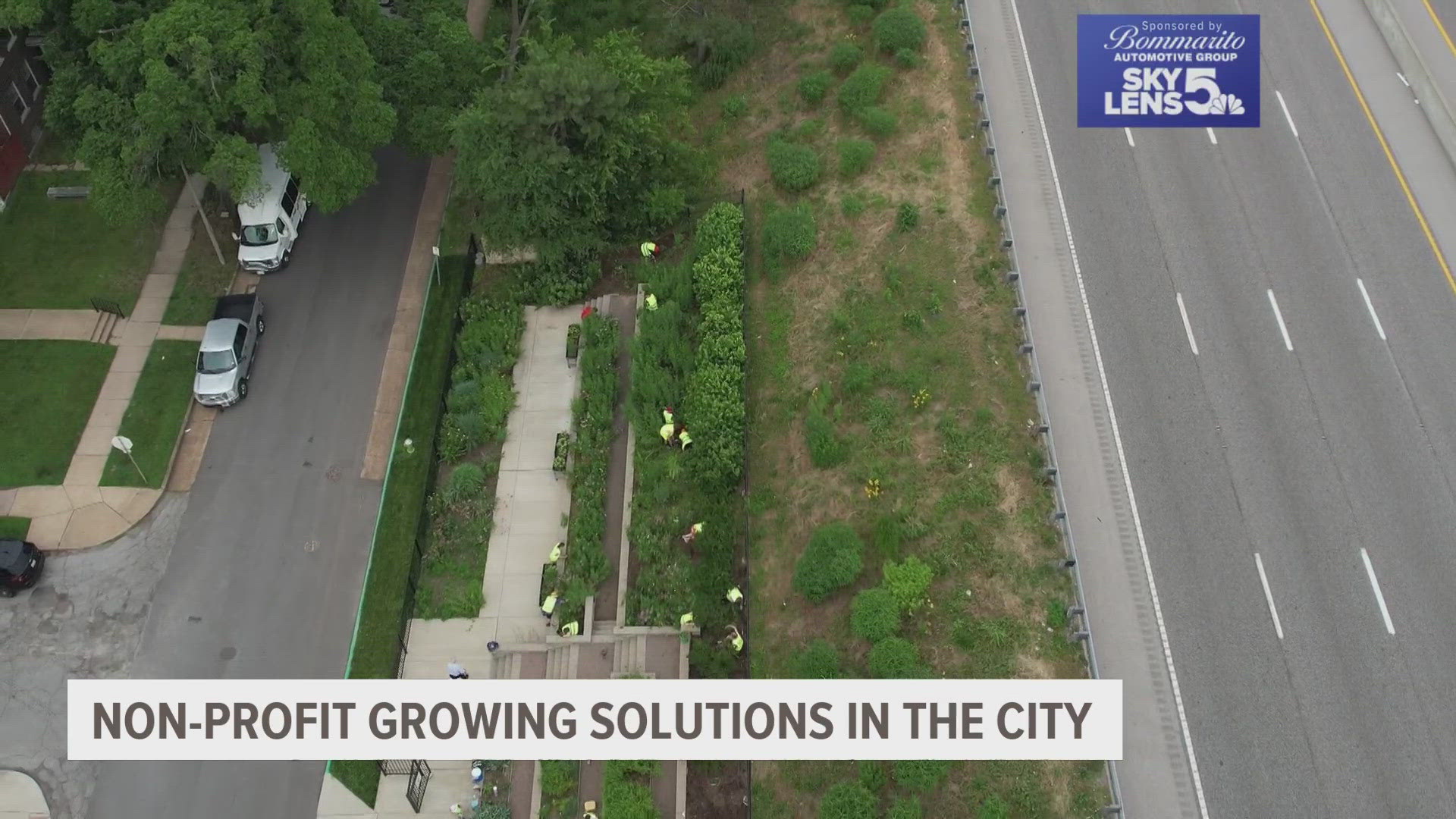 Green House Venture revives land as urban garden in St. Louis | ksdk.com