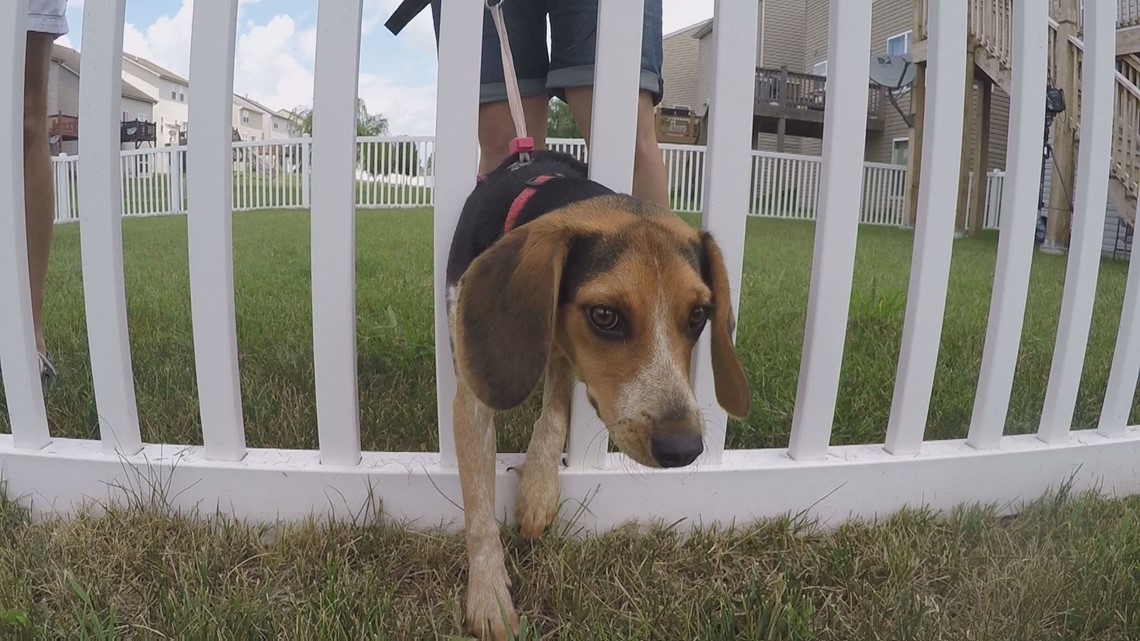 City permit mix up costs homeowner thousands for useless fence | ksdk.com