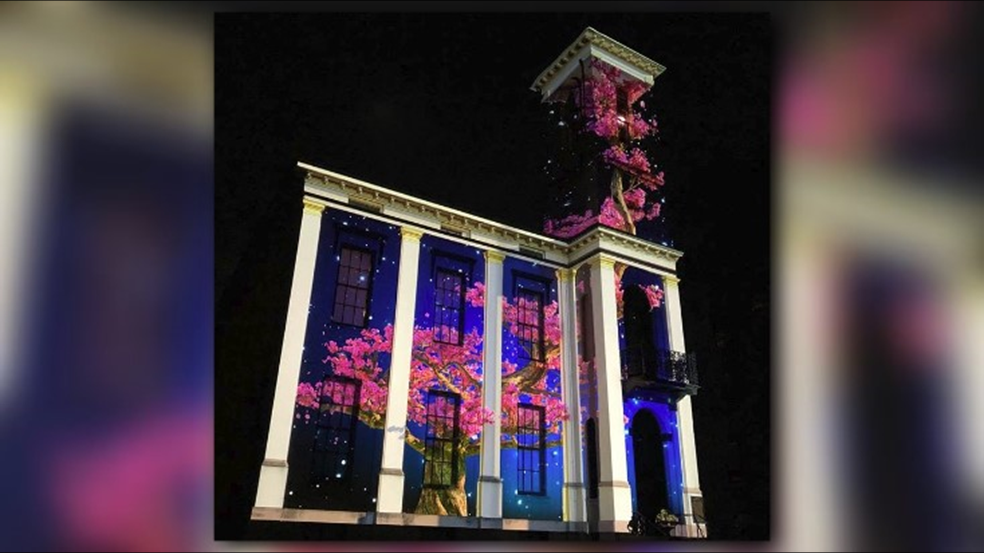 Flora Borealis extended through October | ksdk.com