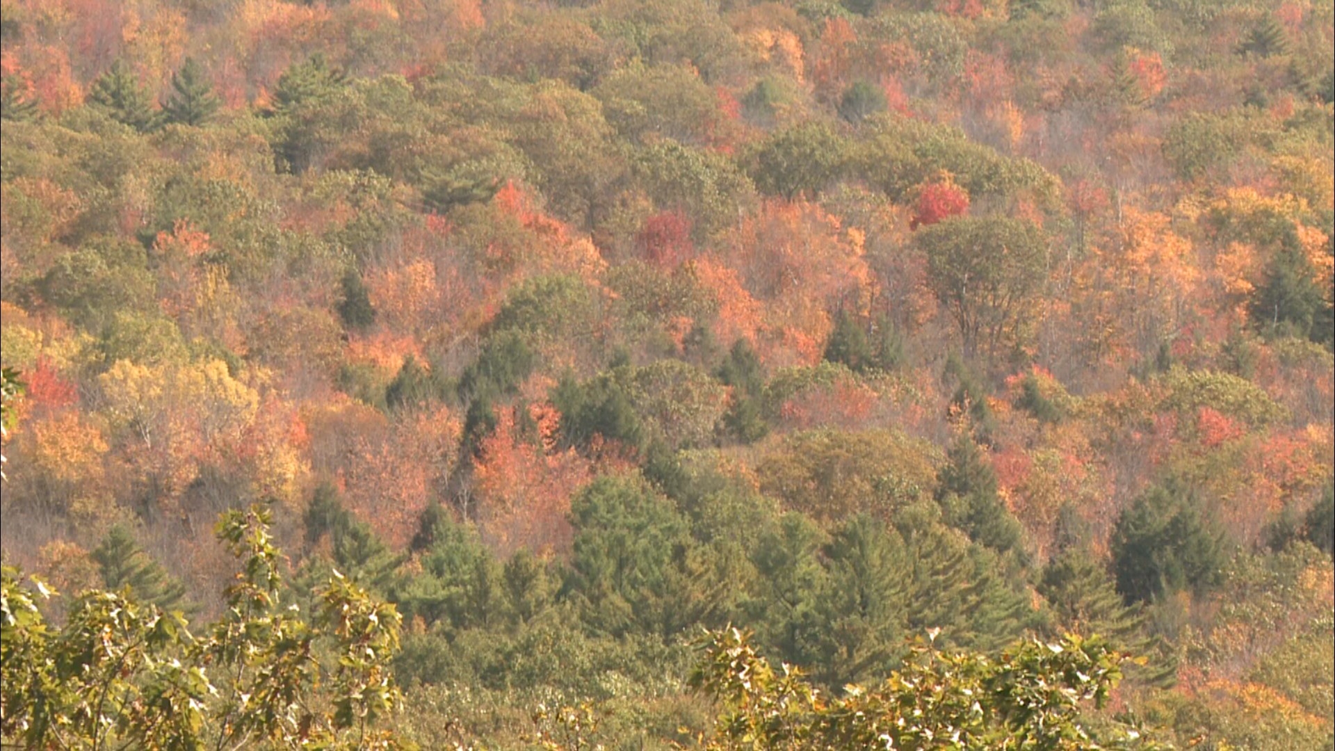 Here's when Missouri’s fall colors are expected to peak | ksdk.com