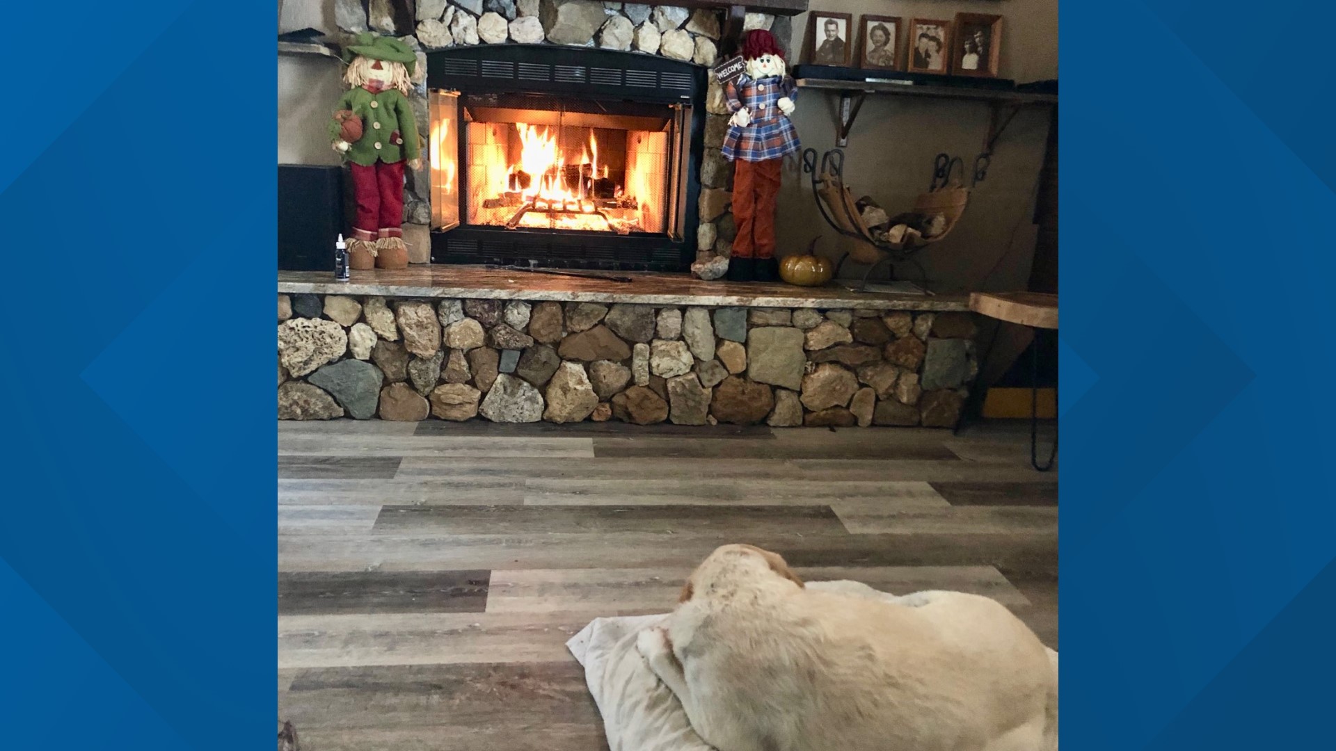 St. Louis forecast: Snow expected Tuesday | ksdk.com