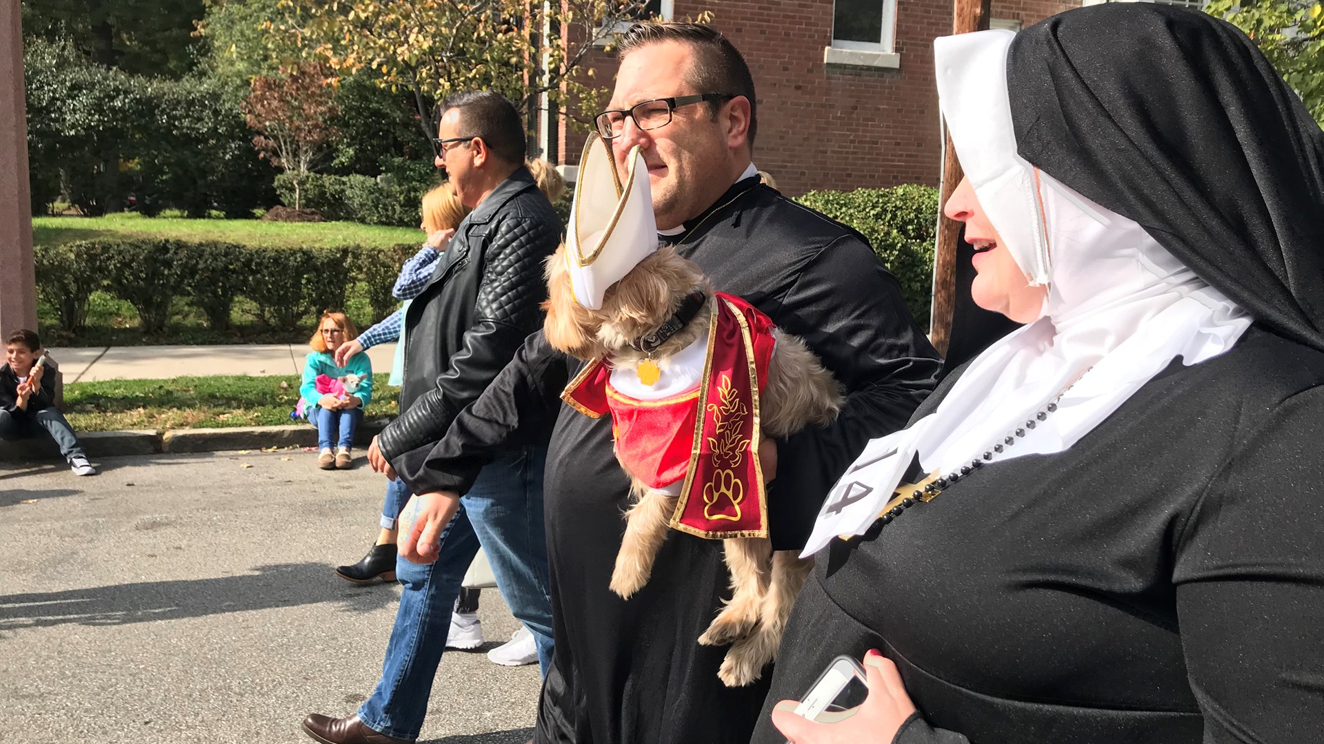 PHOTOS: Dog costume parade in the Central West End | ksdk.com