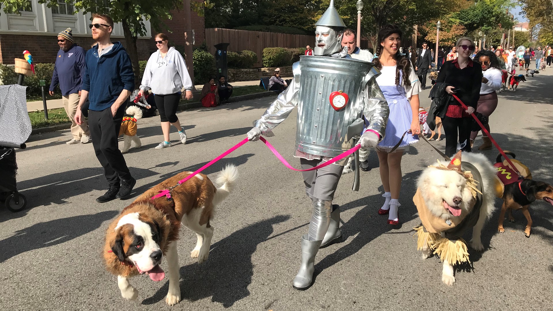 PHOTOS: Dog costume parade in the Central West End | ksdk.com