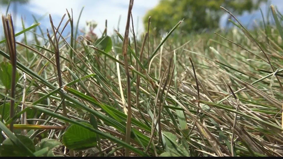 Steve Savard talks exclusively about leaving KMOV | ksdk.com